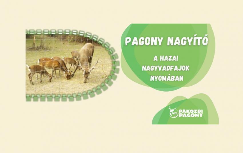Pagony nagyító - Pákozdi Pagony - Arborétum és Vadaspark
